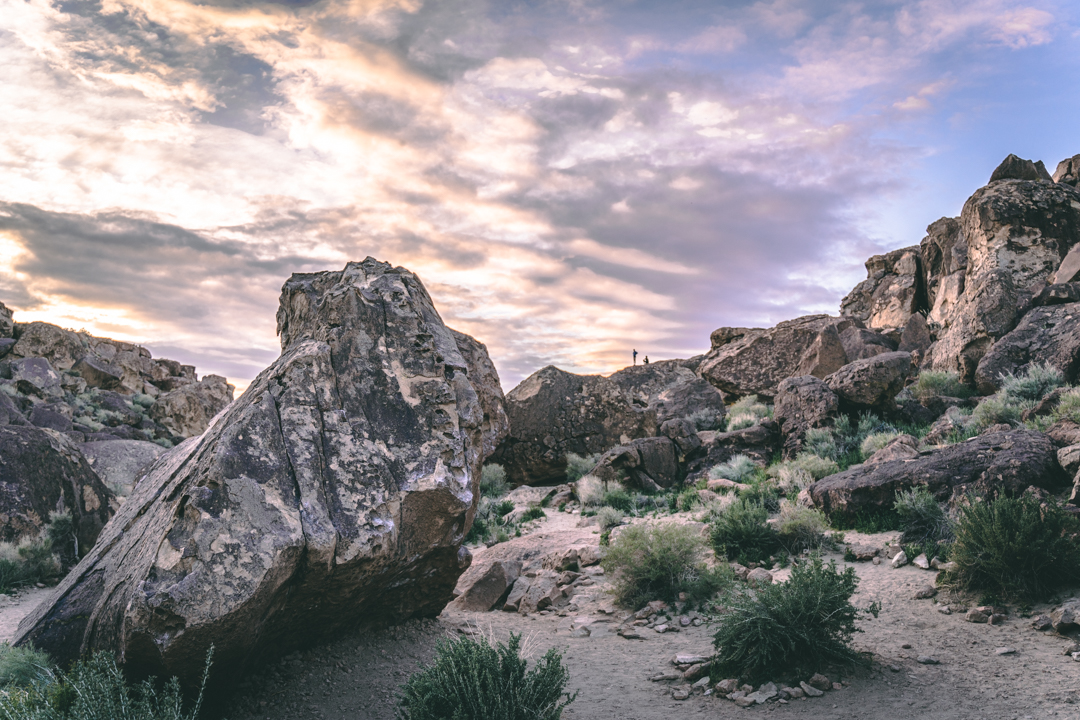 David Anwyl | cse110-lab1